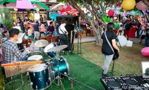 (+Fotos) Flamingo Fest 2019 da la bienvenida al verano con mucho ...