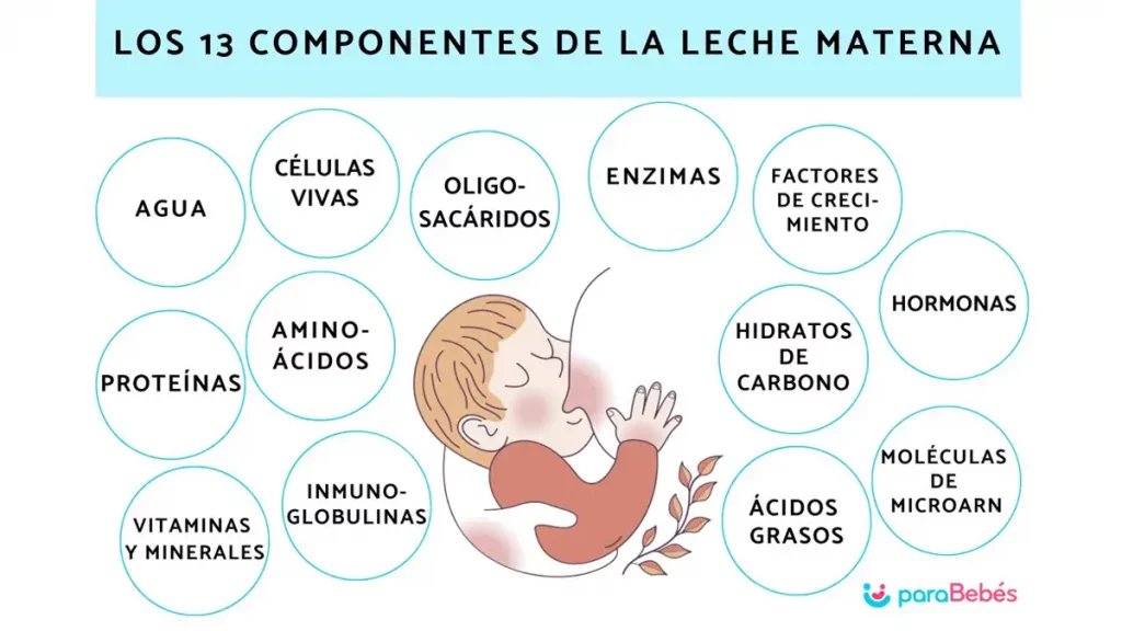 La leche materna se adapta a las necesidades de cada bebé